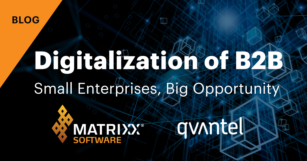 Digitalization of B2B — Small Enterprises, Big Opportunity | MATRIXX ...